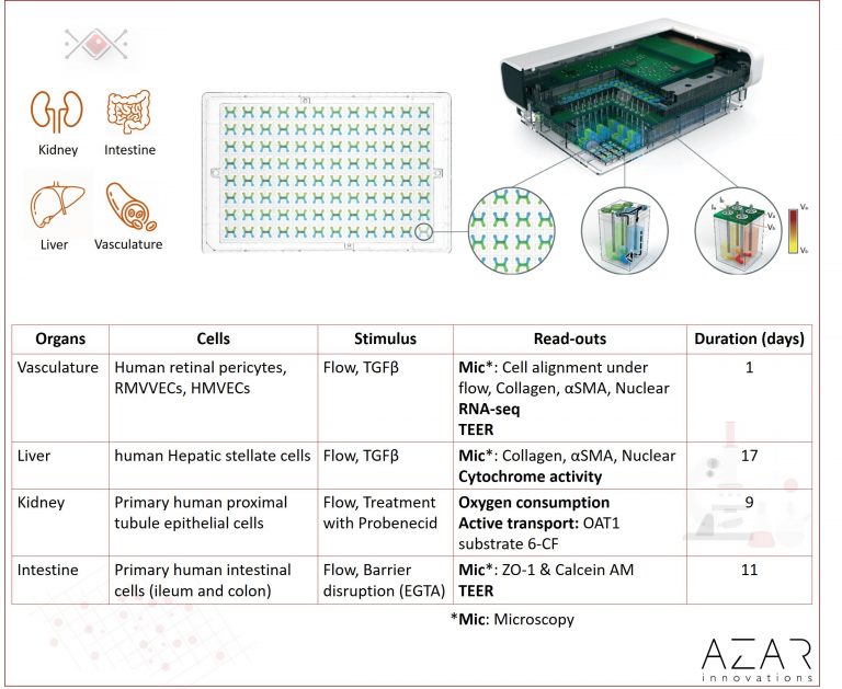 organ on a chip, micropysiological systems, intestine, kidney, liver