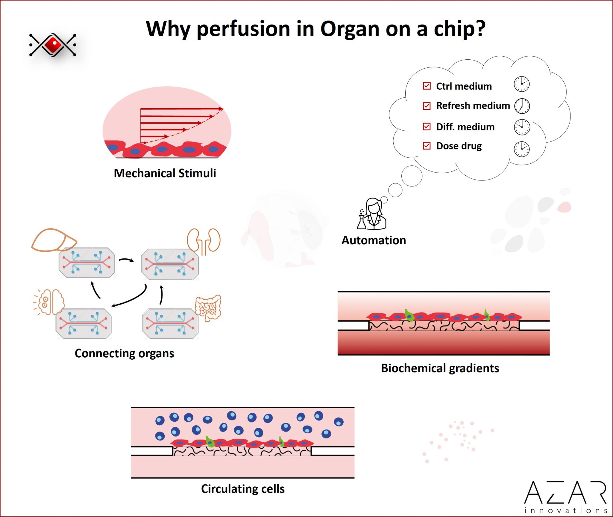 Organ on a chip in Practice – AZAR Innovations Company