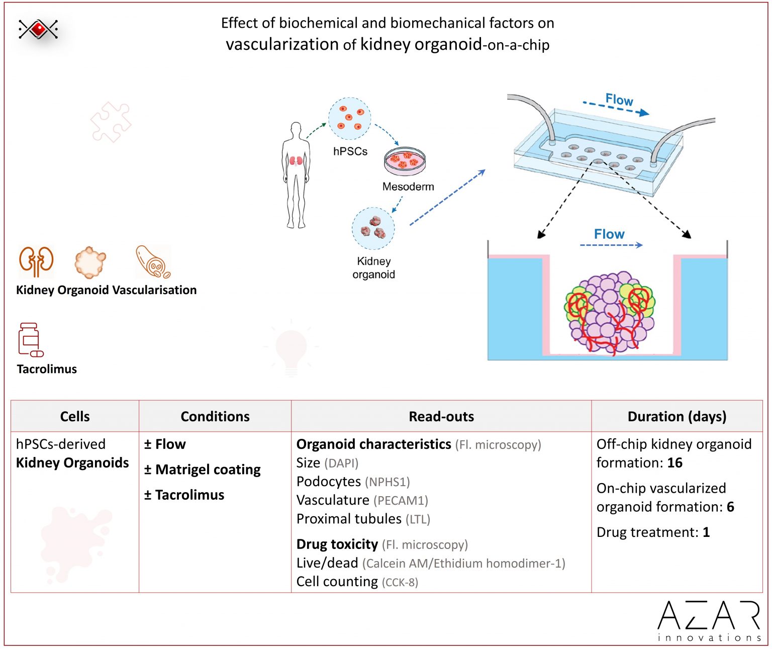Organ on a chip, microphysiological systems, kidney, organoids ...