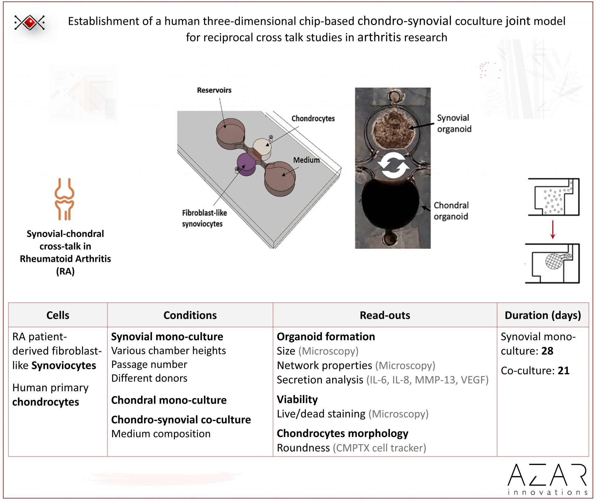 Organ on a chip, tissue chip, microphysiological systems, arthritis ...