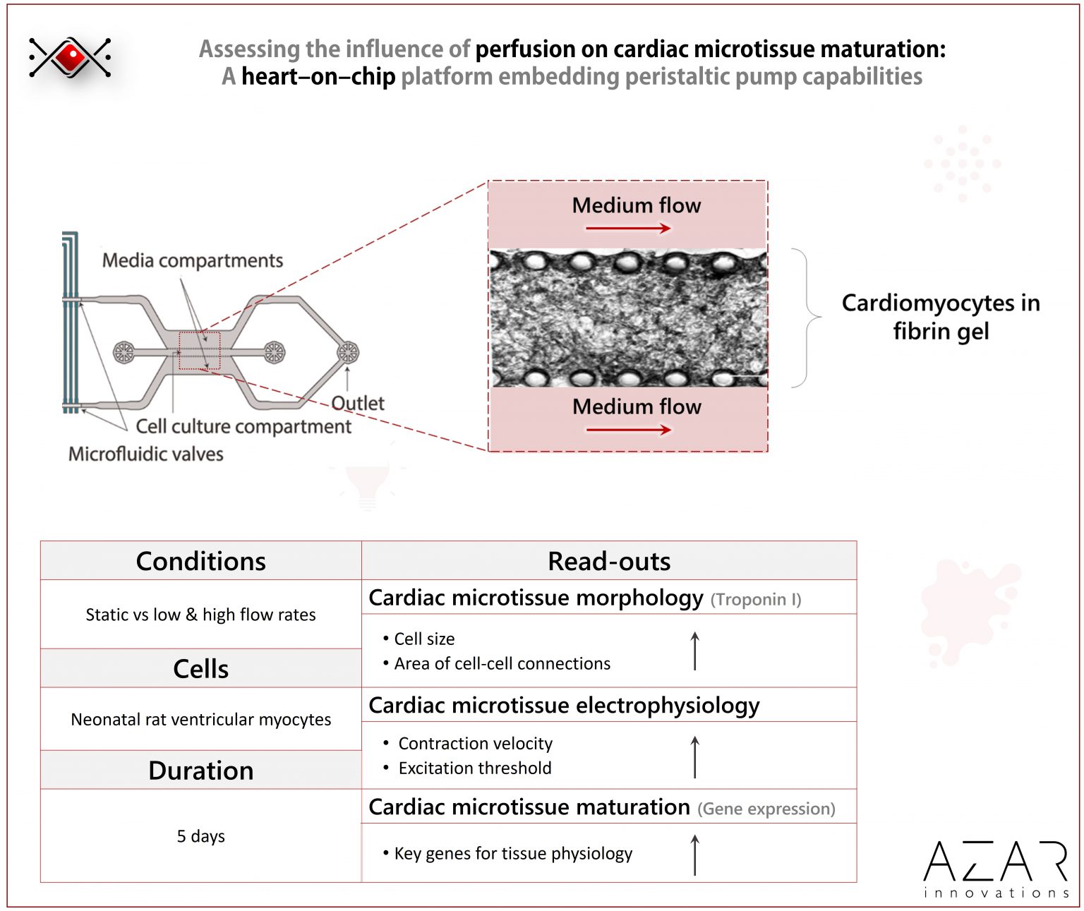 Automated perfused heart-on-a-chip mimicking cardiac micro-tissue ...