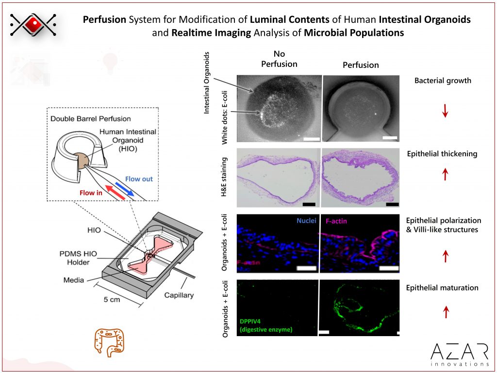 Organ on a chip MasterClass Intestine & Intestine-Microbiome 2023